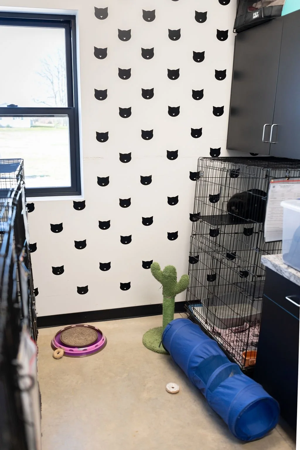 Boarding — Zach's Pet Services, LLC
