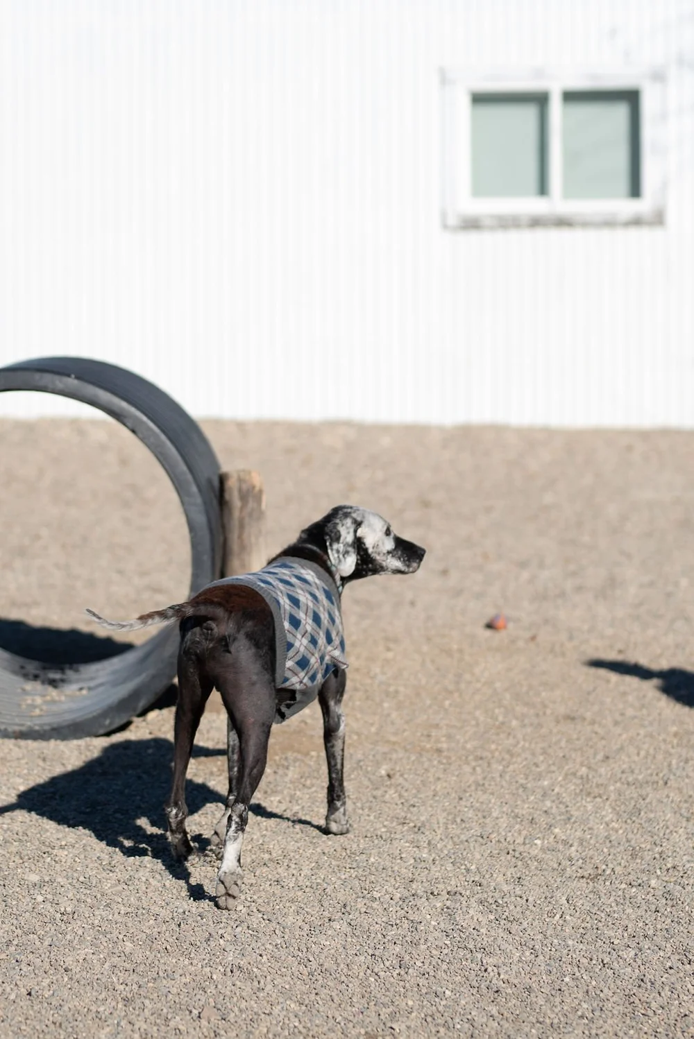 Contact Us — Zach's Pet Services, LLC
