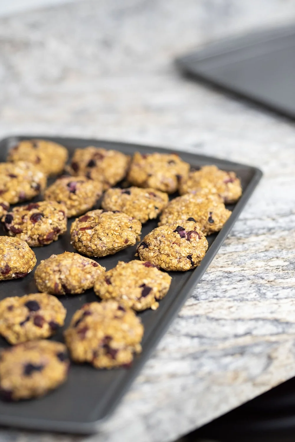 Zach's Pet Services, LLC