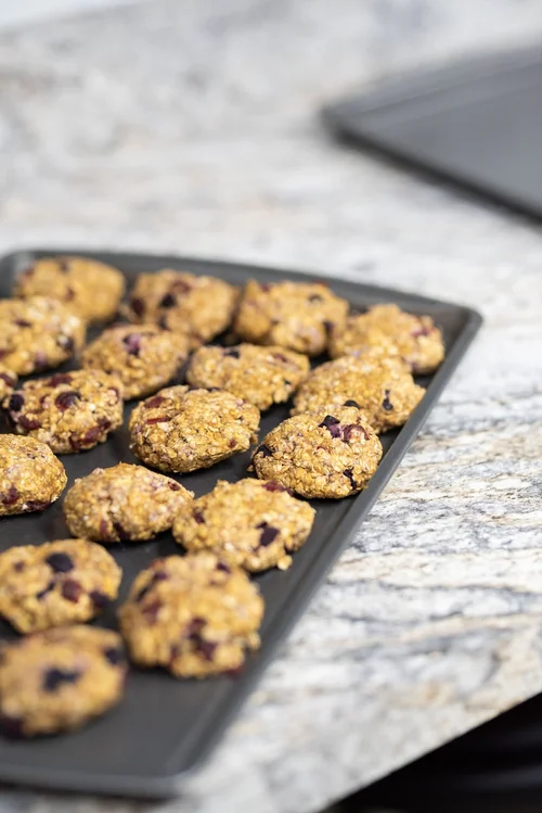 Zach's Pet Services, LLC