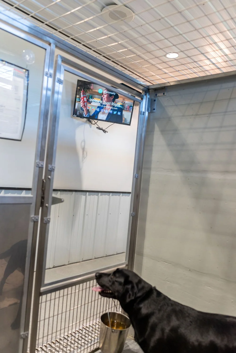Boarding — Zach's Pet Services, LLC