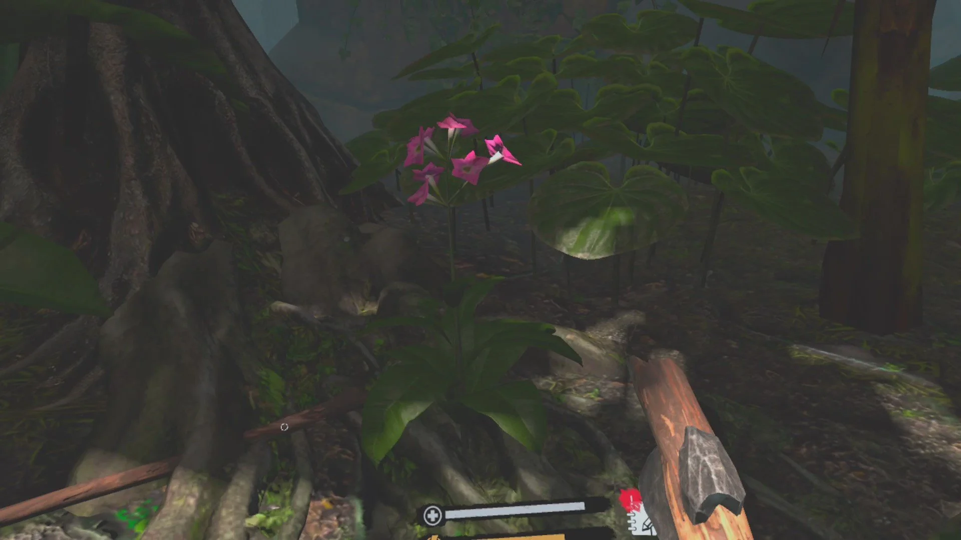 11 Essential Green Hell VR Tips and Tricks to Survive the Jungle ...