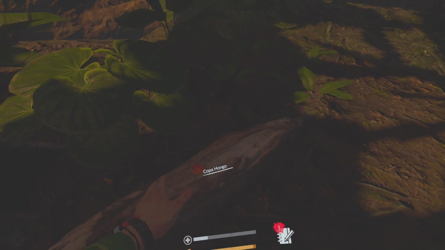 11 Essential Green Hell VR Tips and Tricks to Survive the Jungle ...