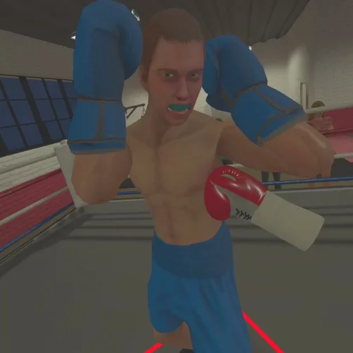 The Thrill Of The Fight - Beginner Guide and Knockout Tips — Reality ...