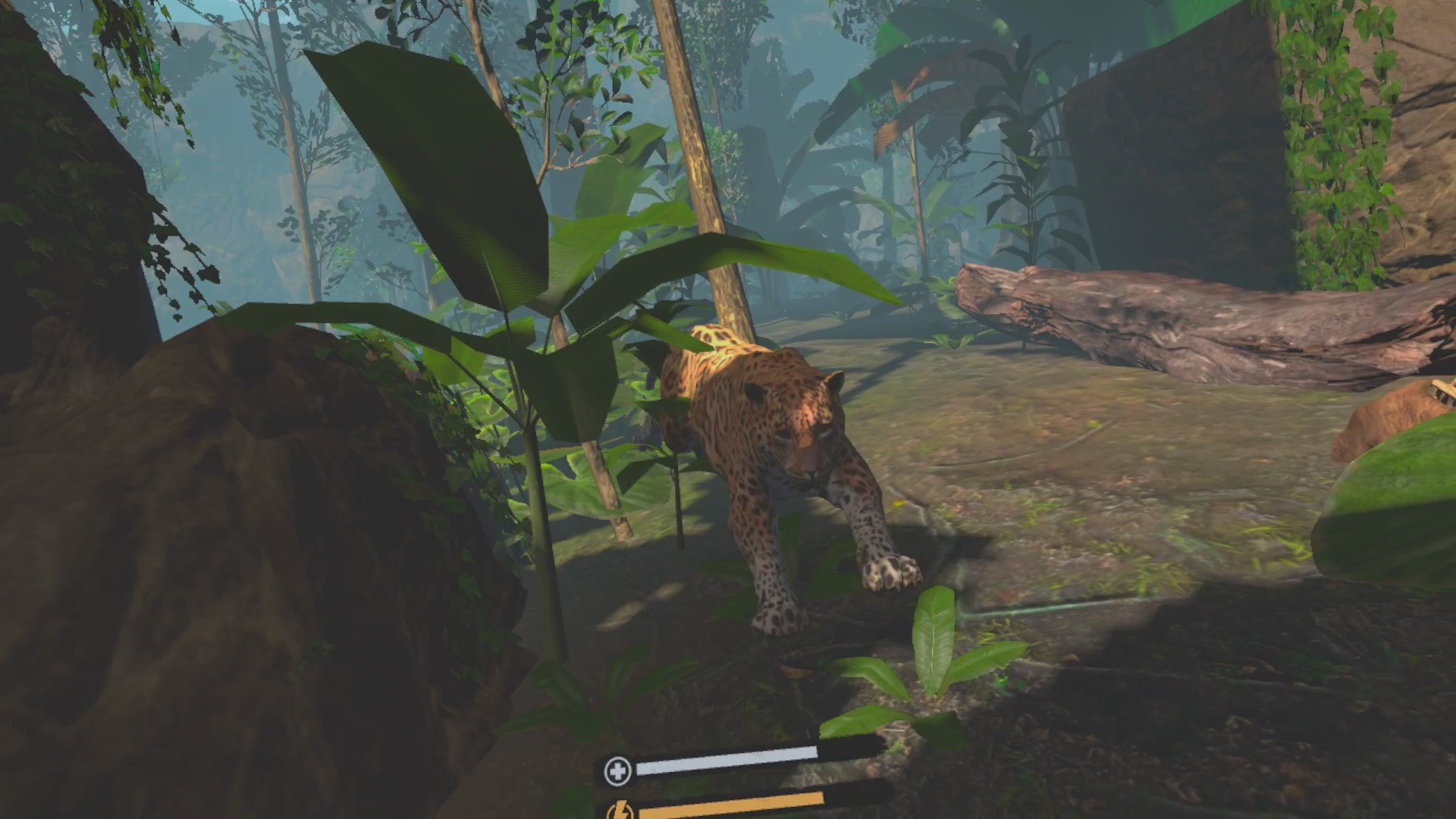 11 Essential Green Hell VR Tips and Tricks to Survive the Jungle ...