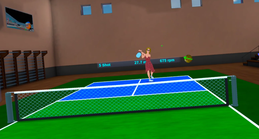 The Best VR Pickleball Game On The Oculus Quest 2 and 3 — Reality Remake Gaming