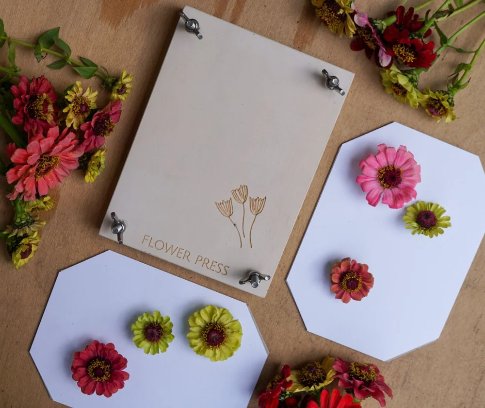 Wild Violet Flower Farm