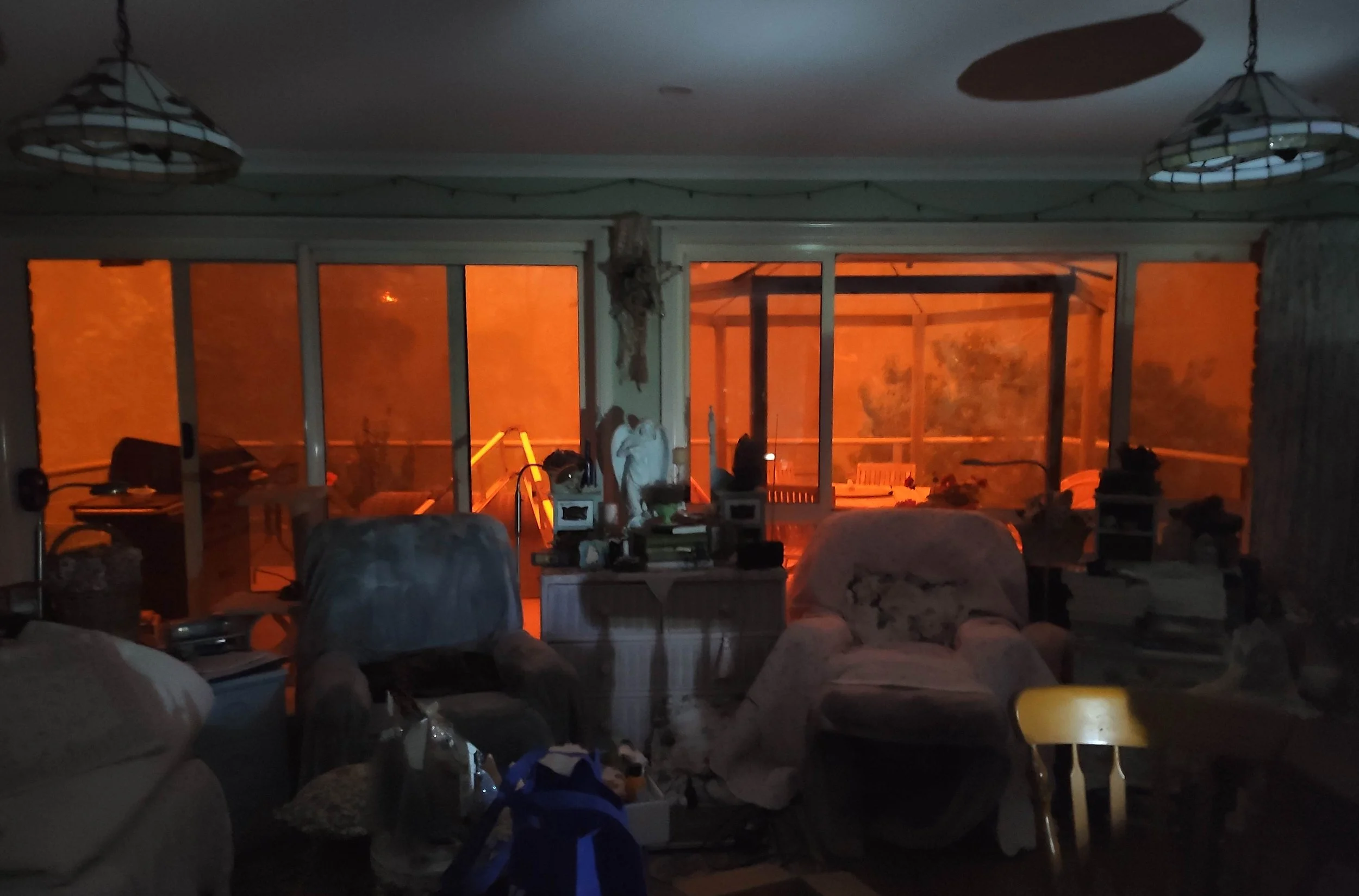Jesse Rowan - Detailed Story — Bushfire Survivors for Climate Action