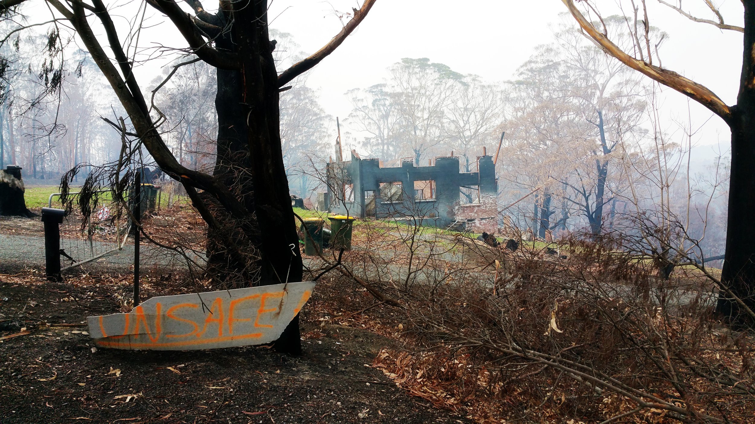 Jesse Rowan - Detailed Story — Bushfire Survivors for Climate Action