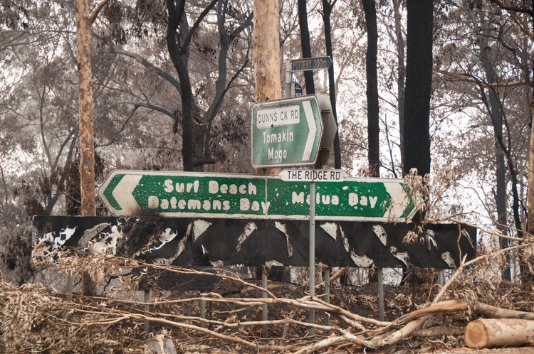 Jesse Rowan - Detailed Story — Bushfire Survivors for Climate Action