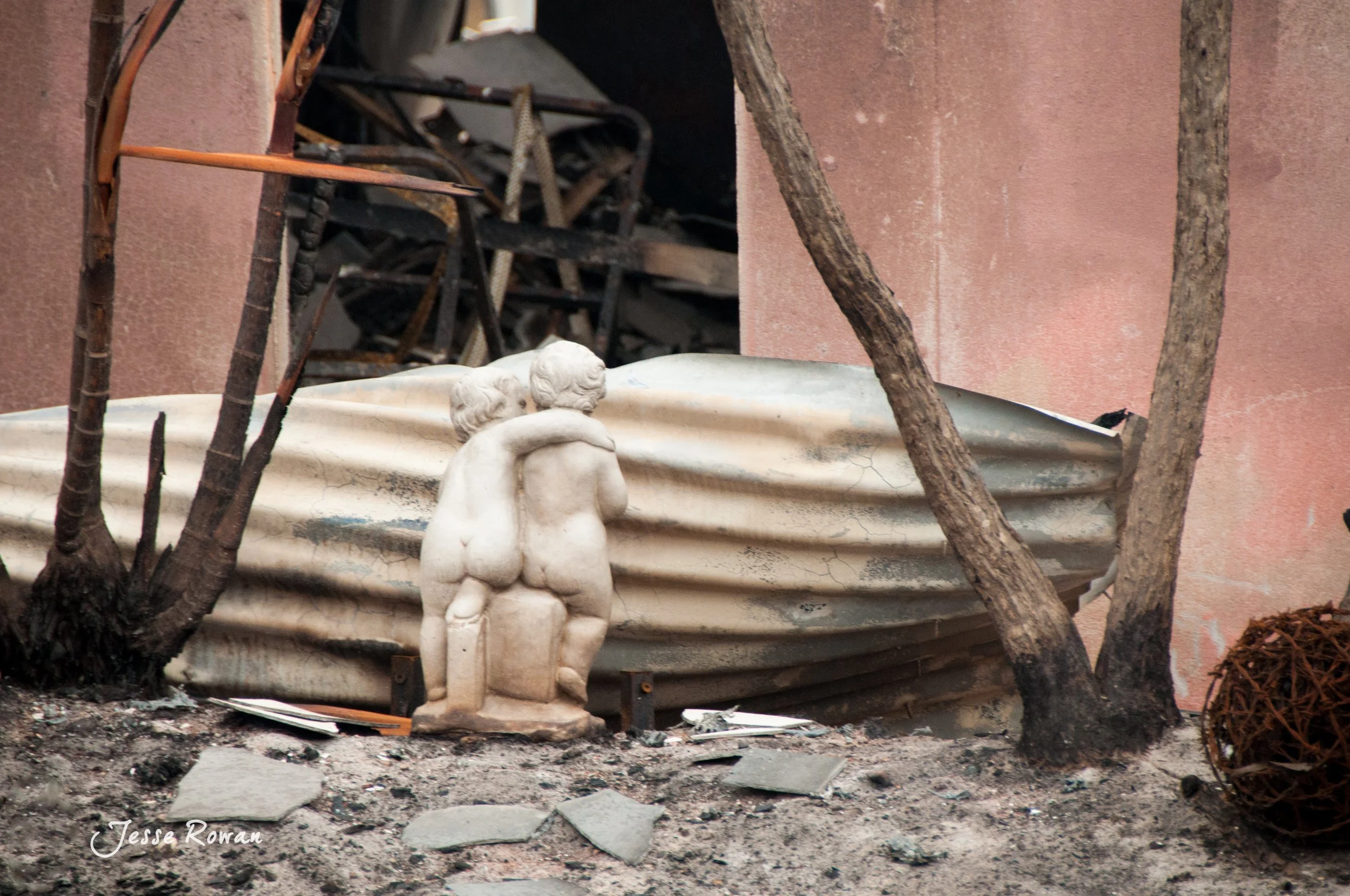 Jesse Rowan - Detailed Story — Bushfire Survivors for Climate Action