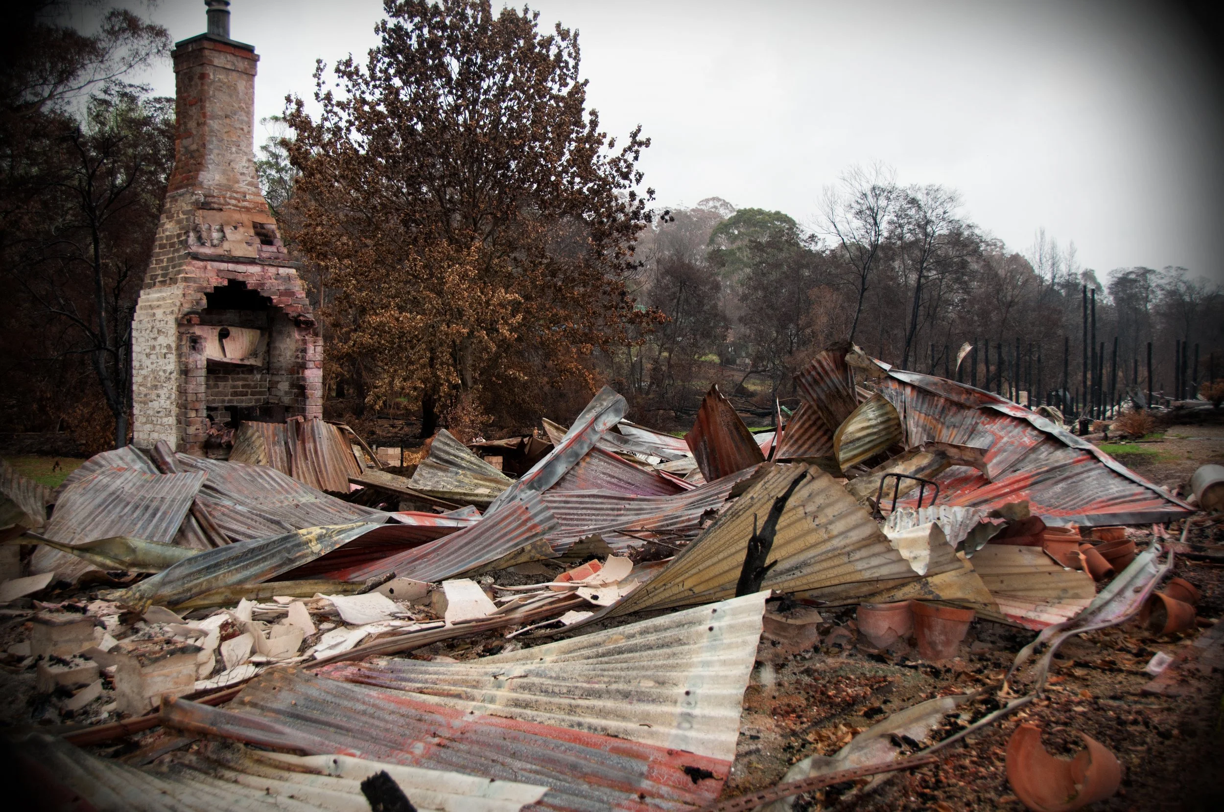 Jesse Rowan - Detailed Story — Bushfire Survivors for Climate Action