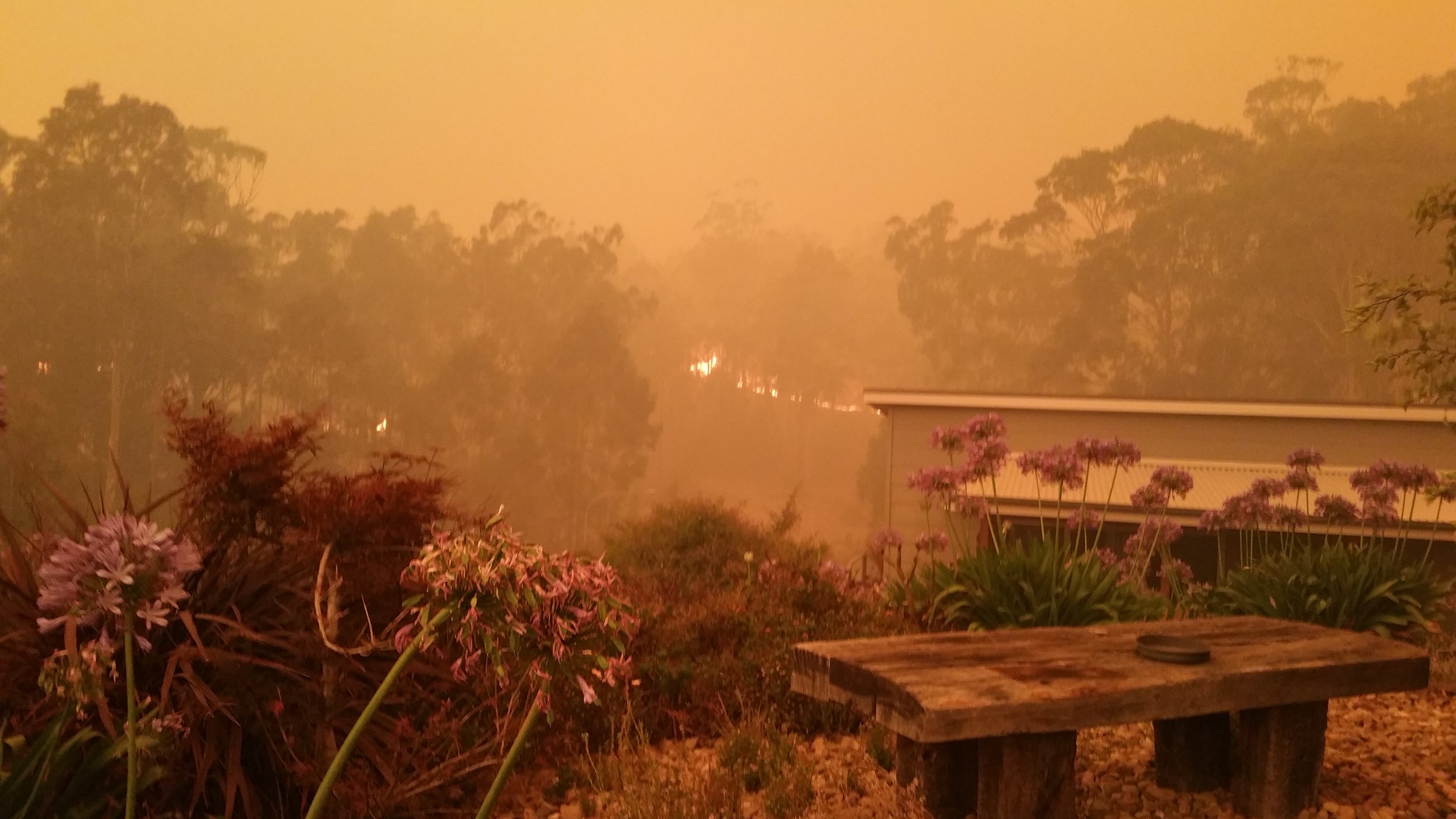 Jesse Rowan - Detailed Story — Bushfire Survivors for Climate Action
