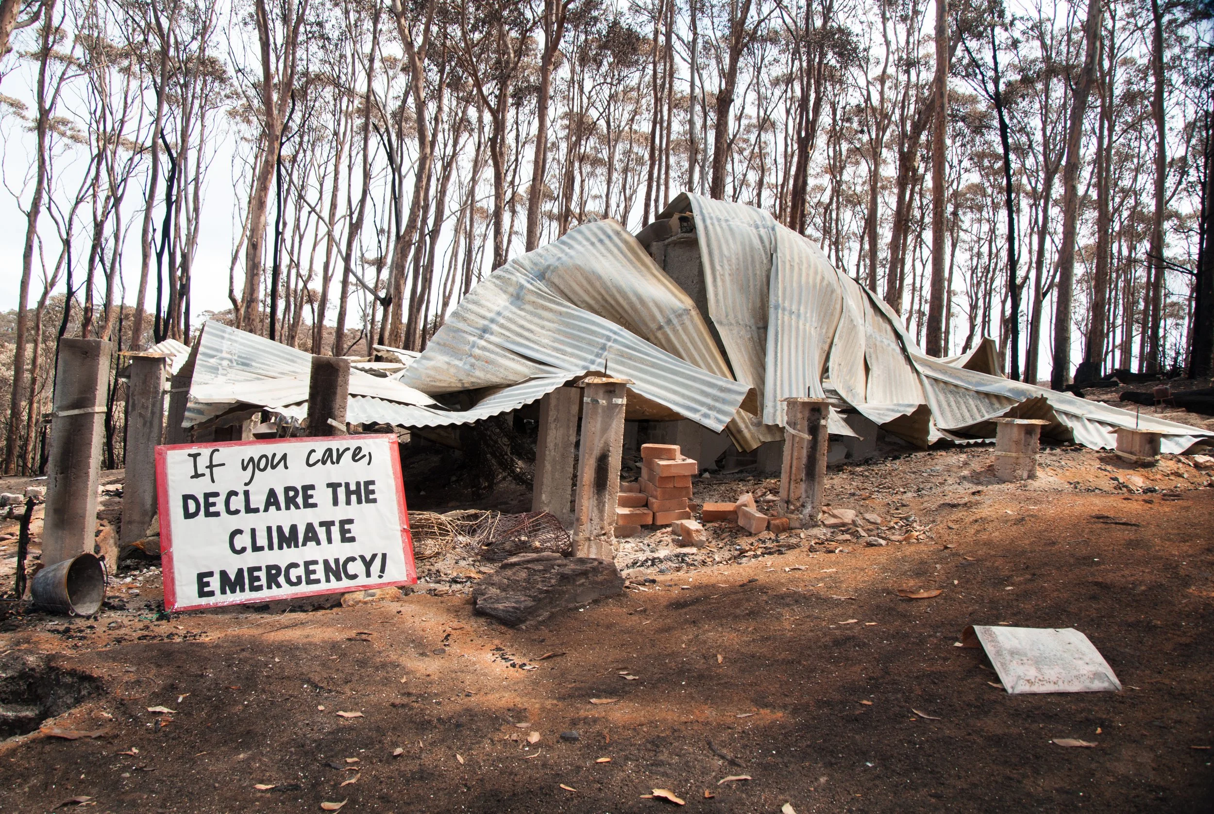 Jesse Rowan - Detailed Story — Bushfire Survivors for Climate Action