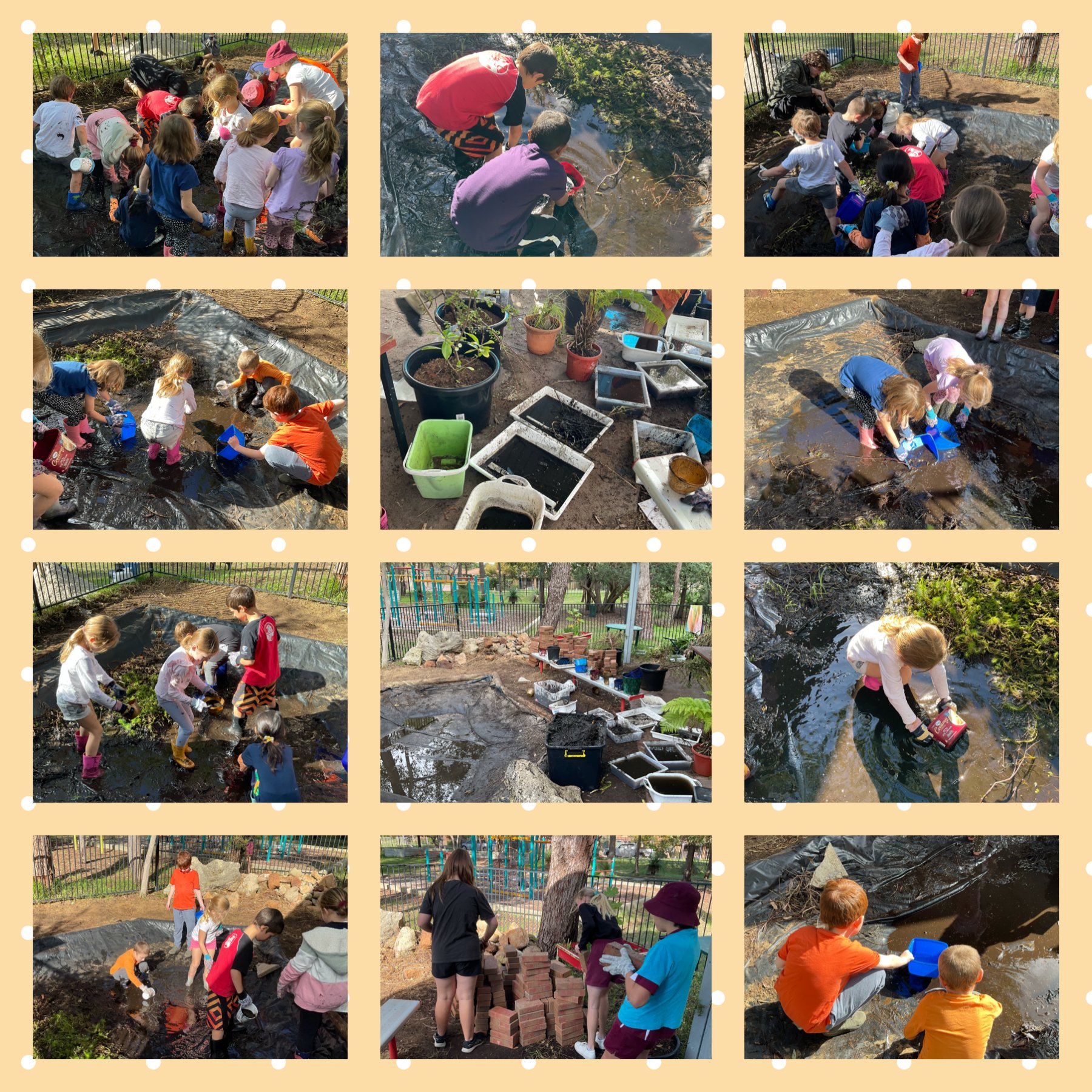 Calista Projects — Calista Primary School