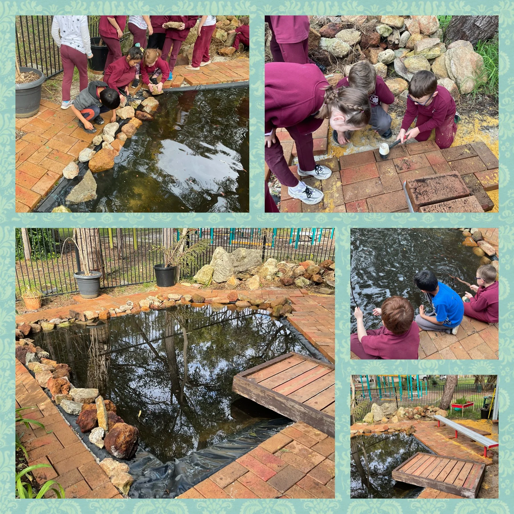 Calista Projects — Calista Primary School