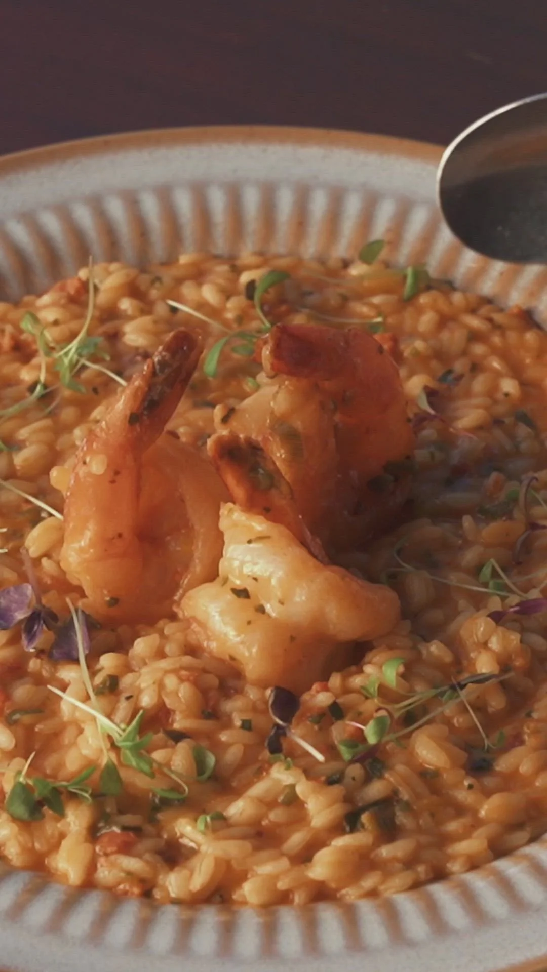 Popolo | Italian Restaurant Brisbane