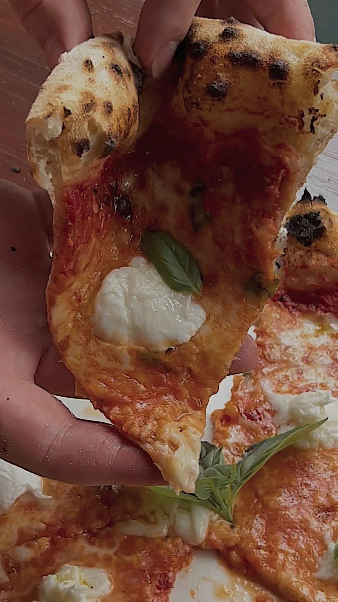 Popolo | Italian Restaurant Brisbane