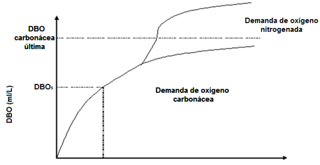 Comprendiendo la Demanda Bioquímica de Oxígeno DBO — Laboratorio ECOQUIMSA