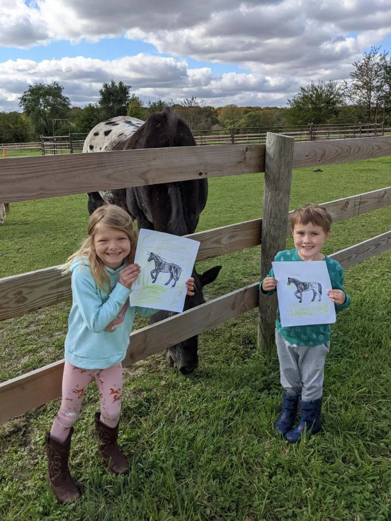 Equine Education | Bittersweet Farm