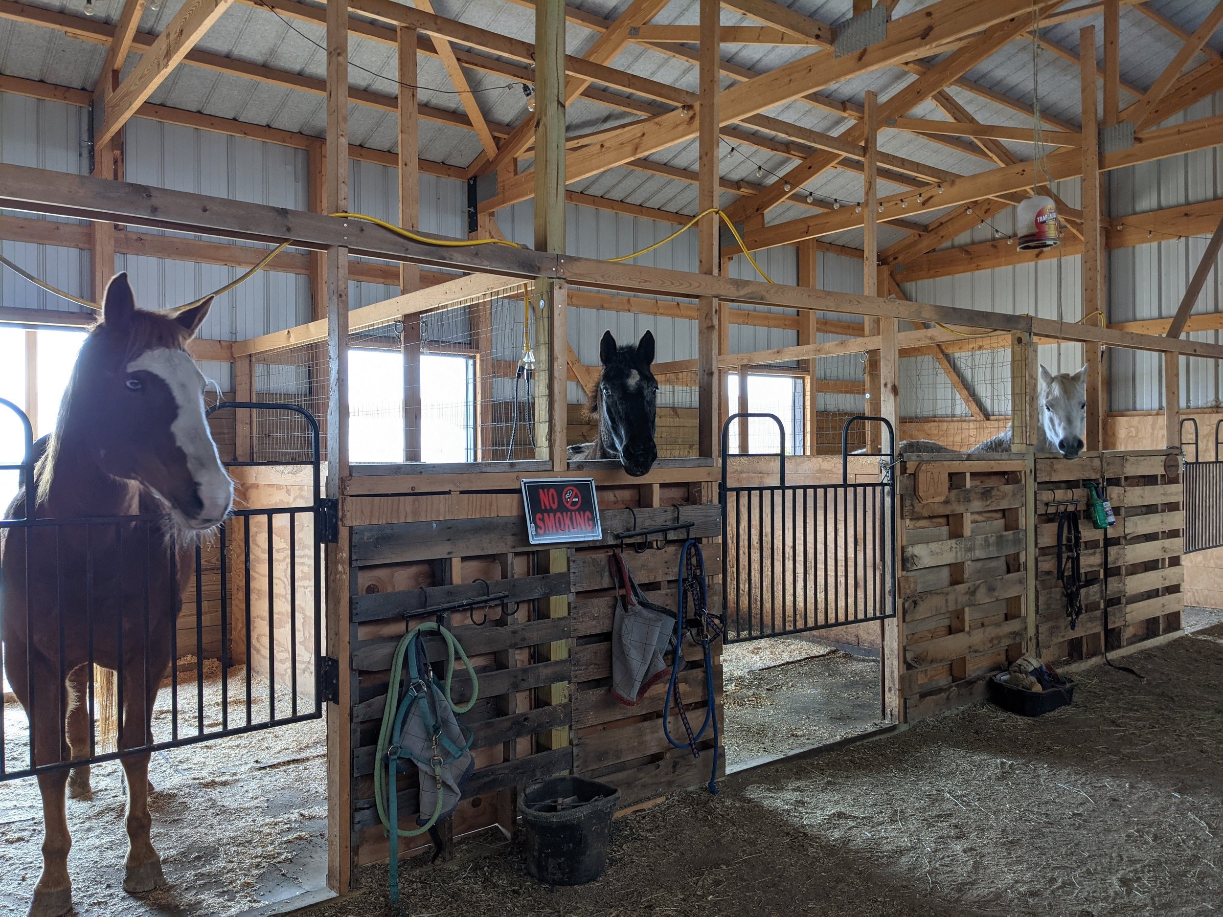 Bittersweet Farm