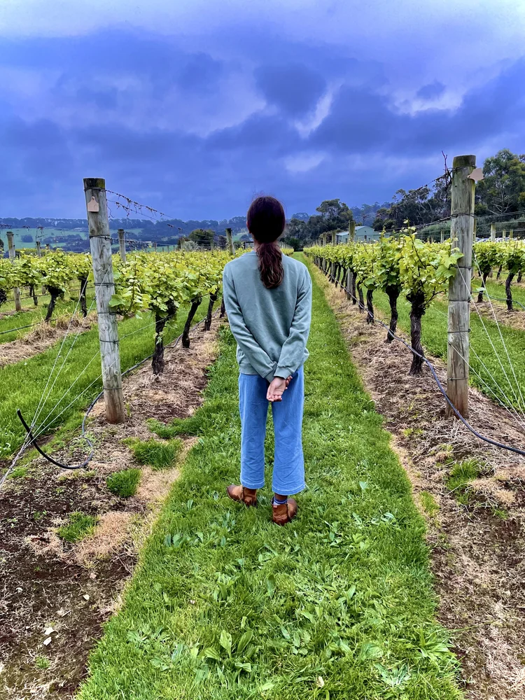 News — Shoreham Community