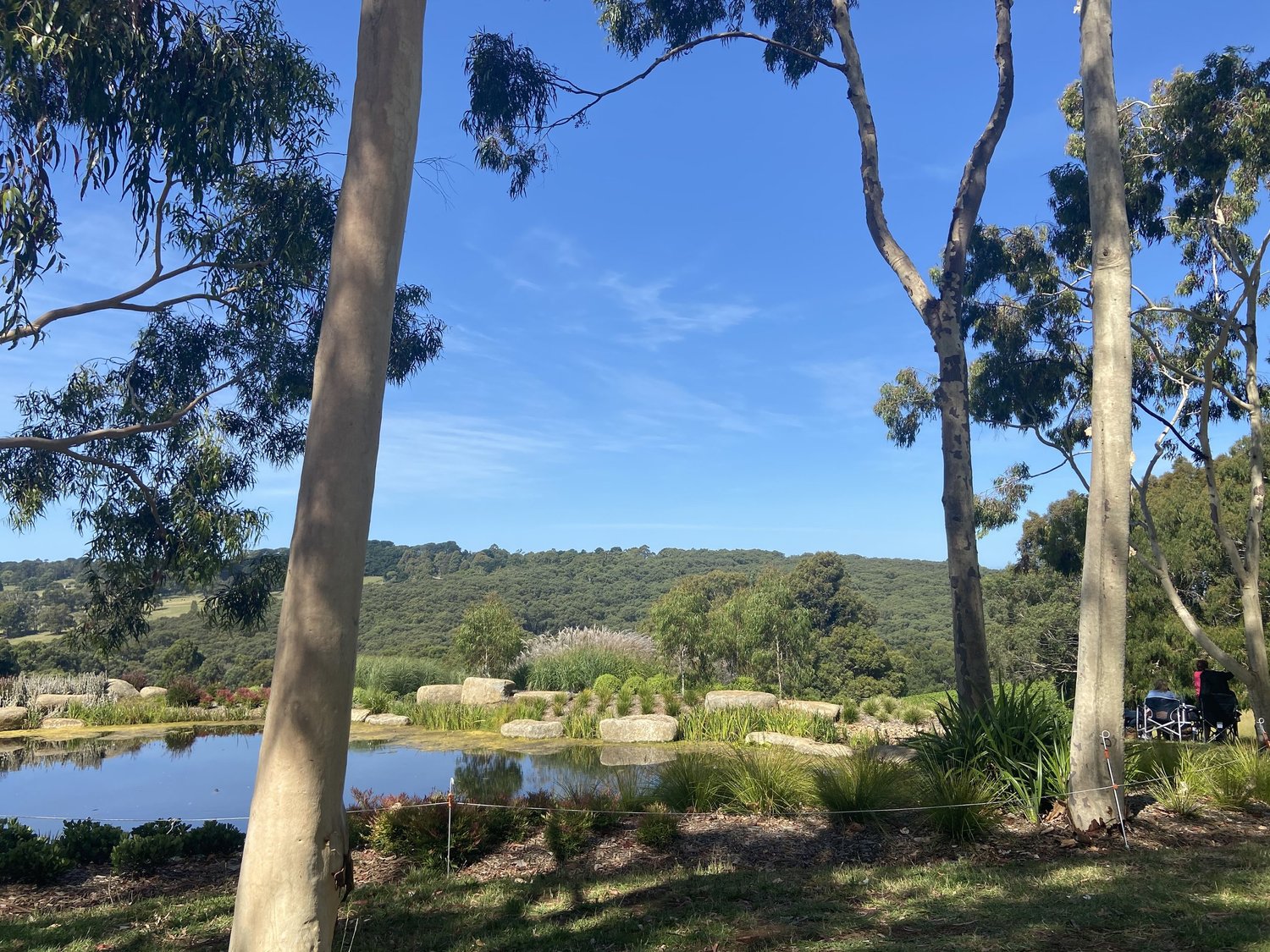 News — Shoreham Community