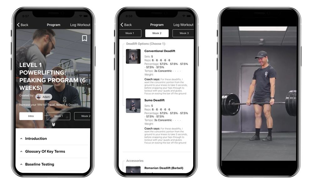 Beginner Powerlifting Program — NZ's Best Personal Trainer Software