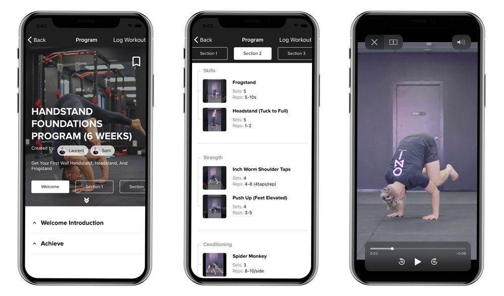 How To Do A Handstand Training Program For Beginners — NZ's Best ...