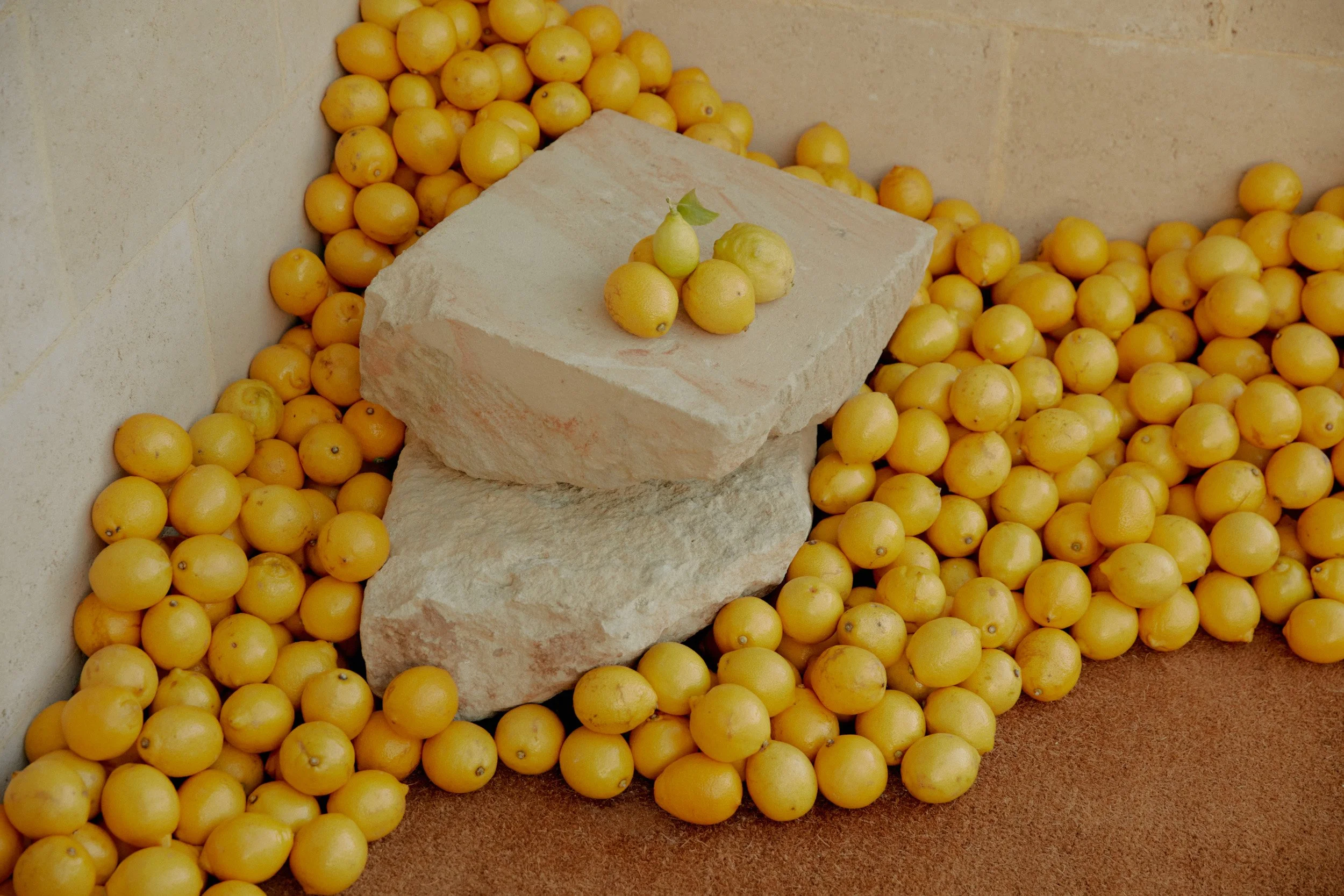 Venroy in Armadale | Sarah I’Anson - New Norm