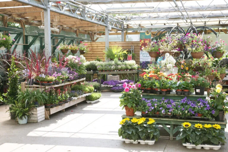 Scotsdales Garden Centre Fordham | Fasci Garden