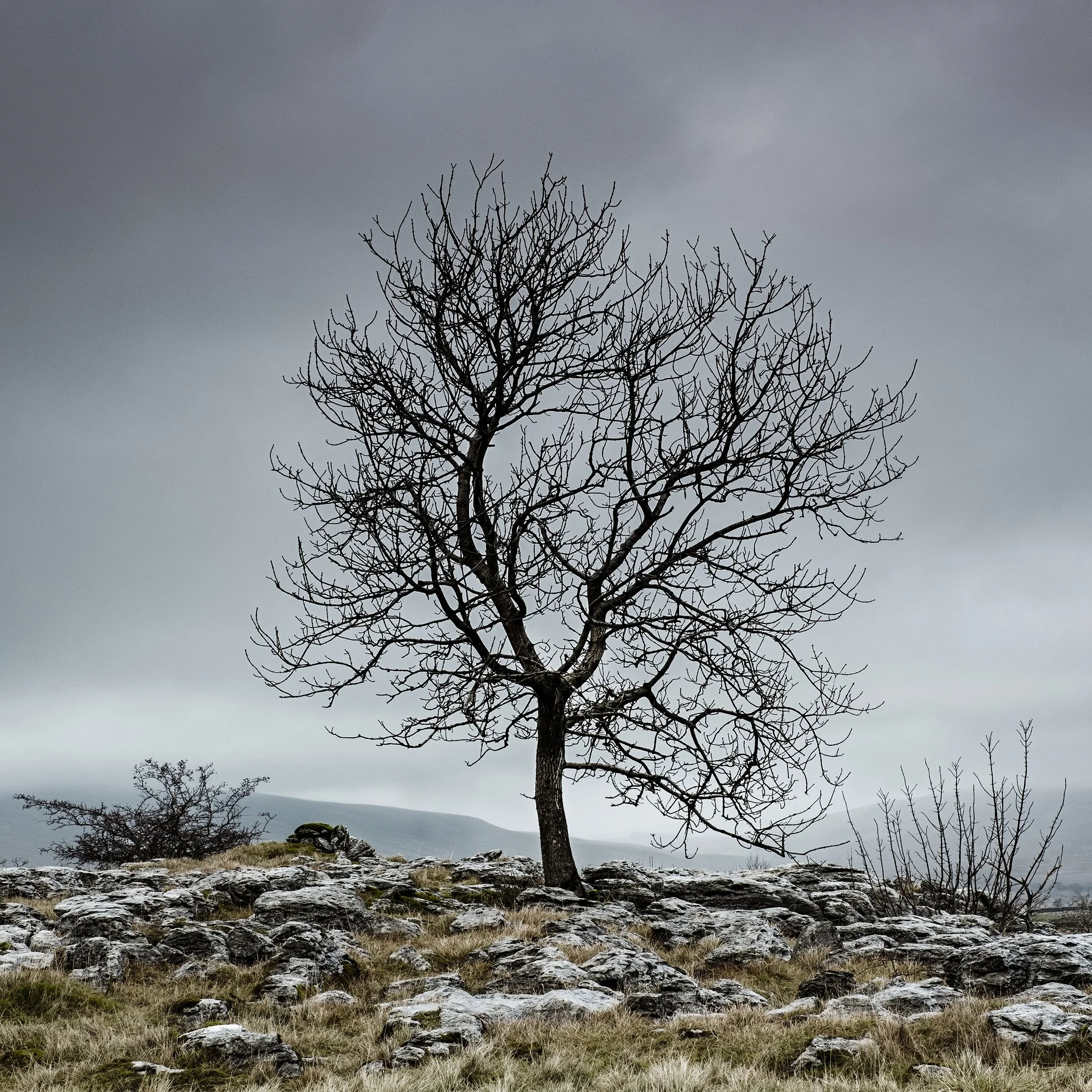 Ruth Grindrod Landscape Photography