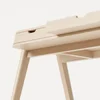 SHELTER desk — TEIXEIRA DESIGN STUDIO