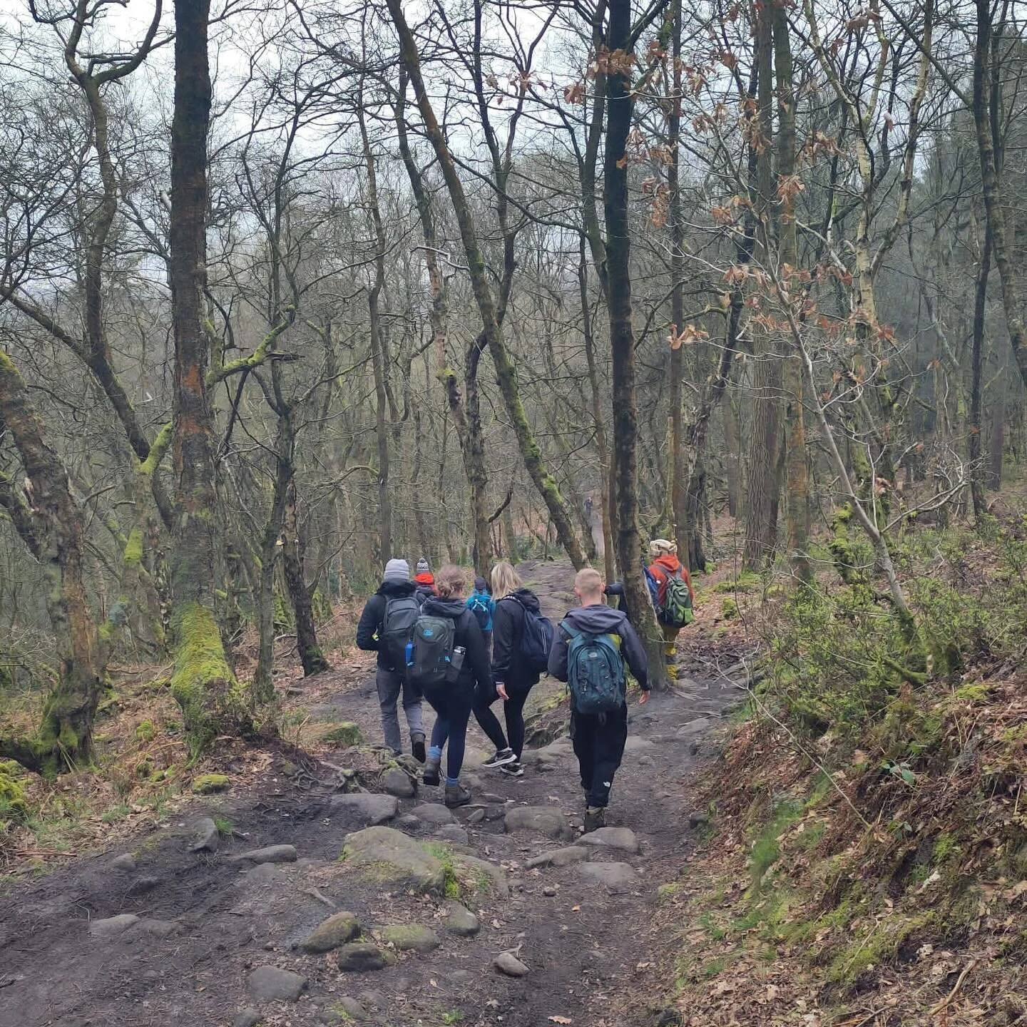 Sheffield Walking Group