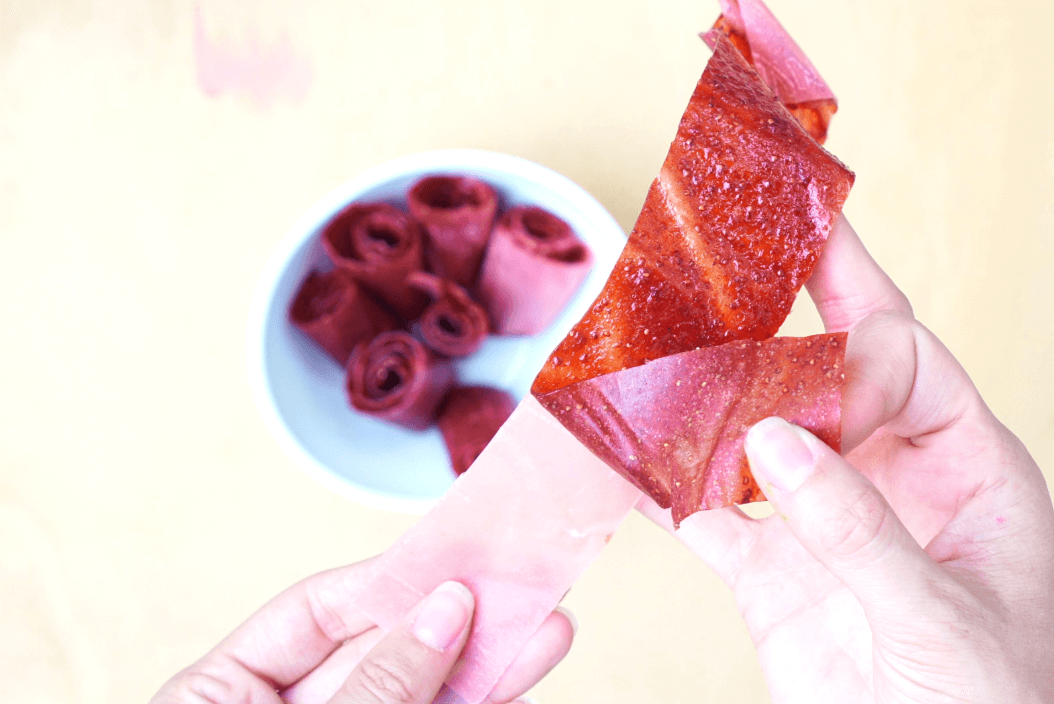HOMEMADE FRUIT ROLL UP RECIPE