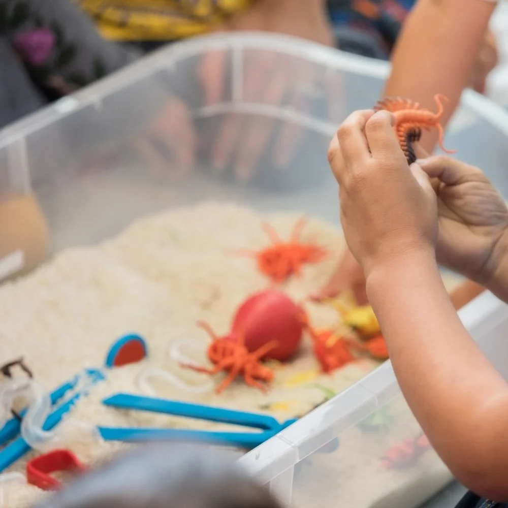 10 Spring Sensory Activities for Toddlers