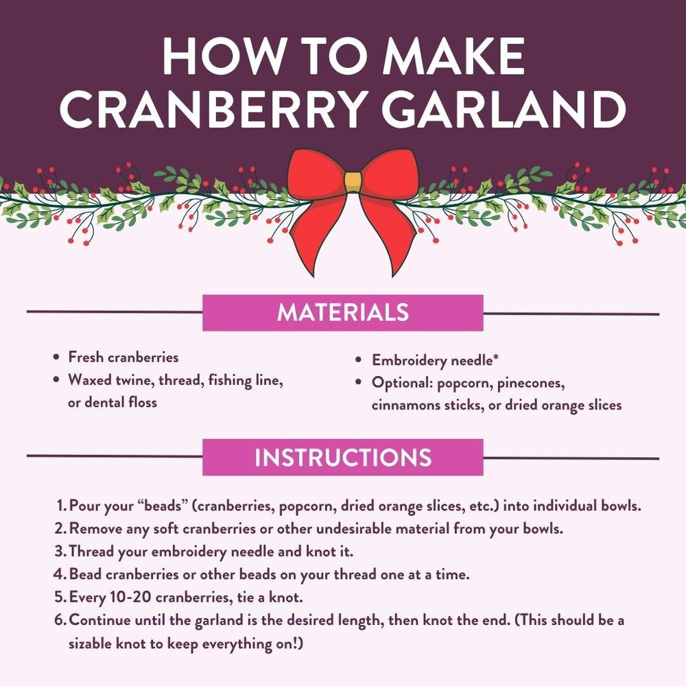 How to String Cranberries | MOTHERCOULD