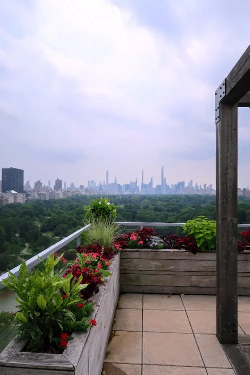 Tom Colletti x Brooklyn Horticulture