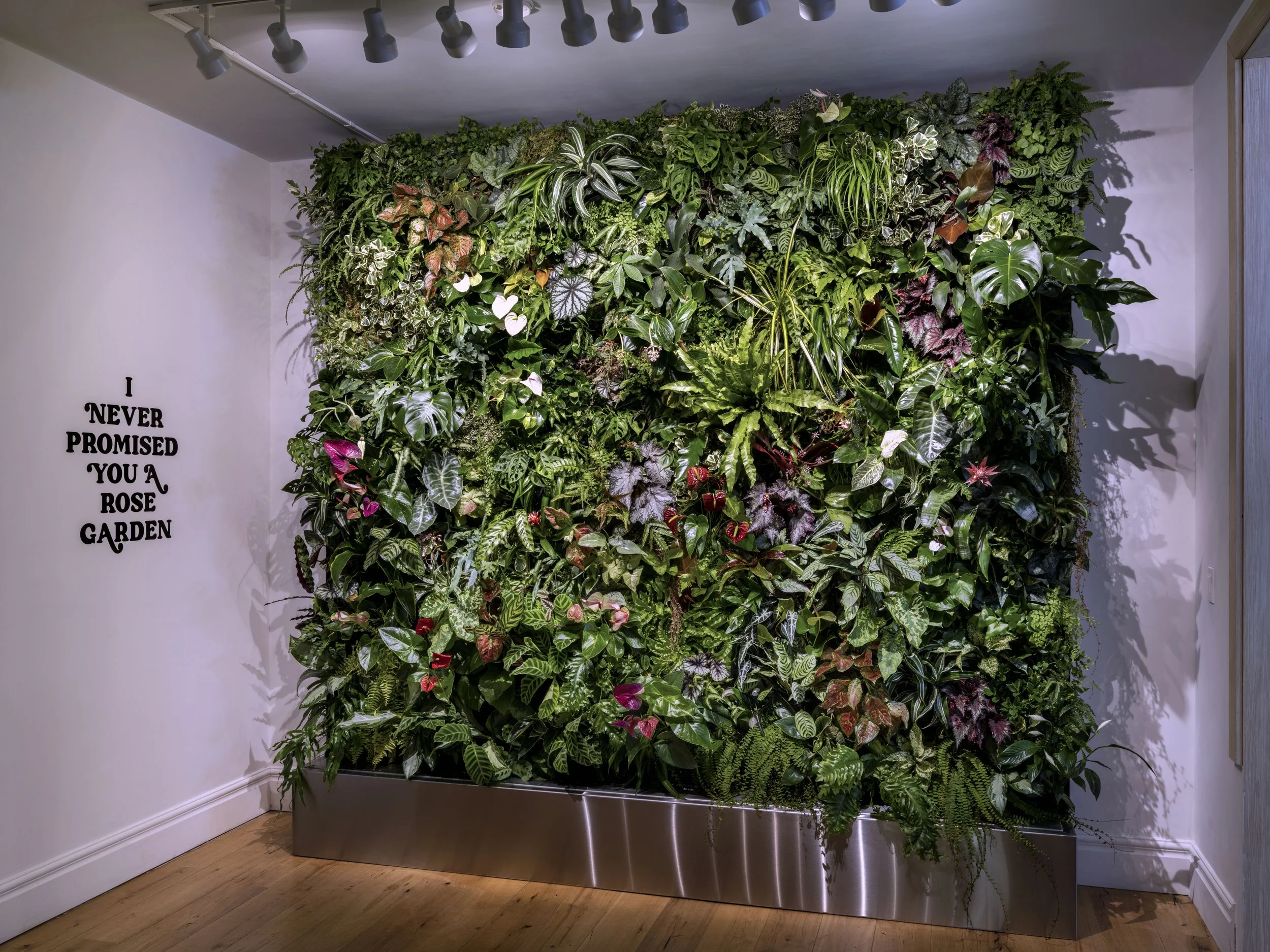 TW Fine Art in Palm Beach, FL — Tom Colletti