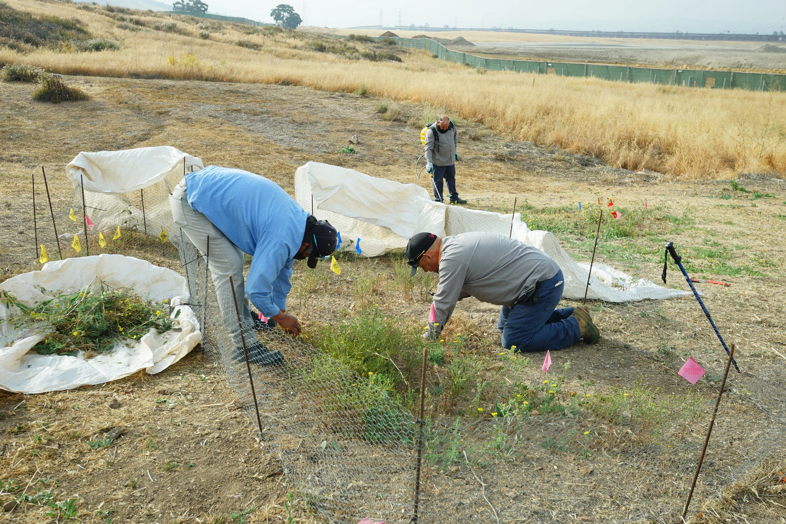 Ecological Restoration — RECON Environmental