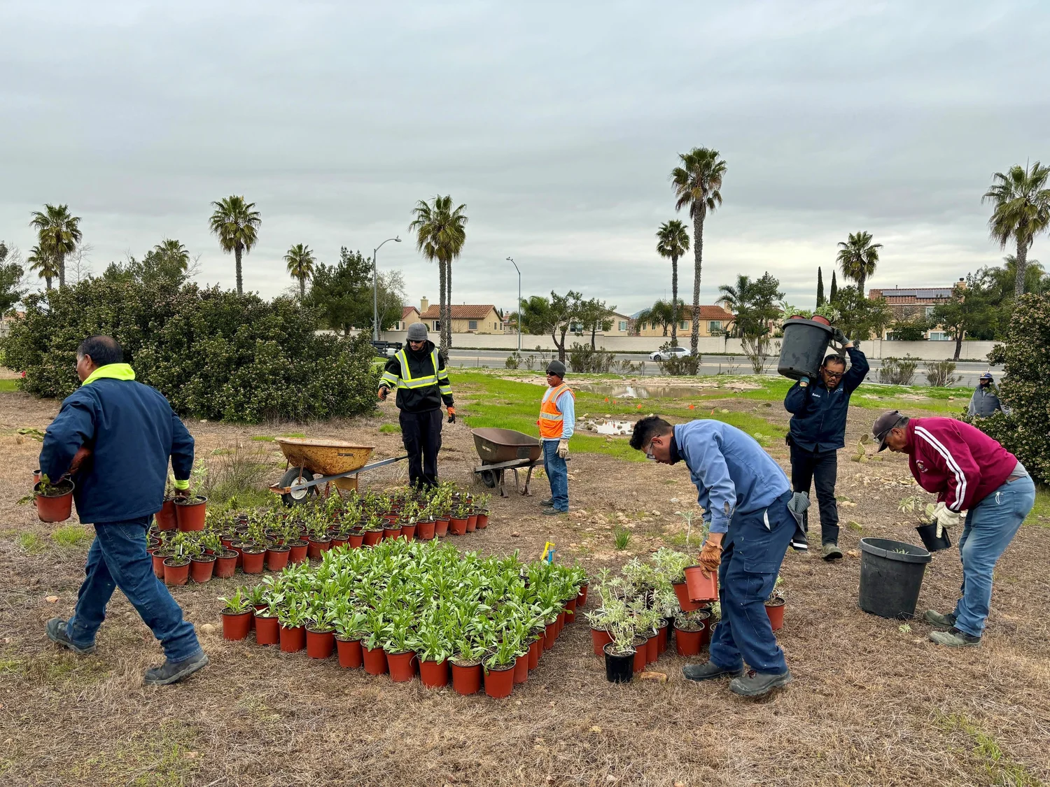 Ecological Restoration — RECON Environmental