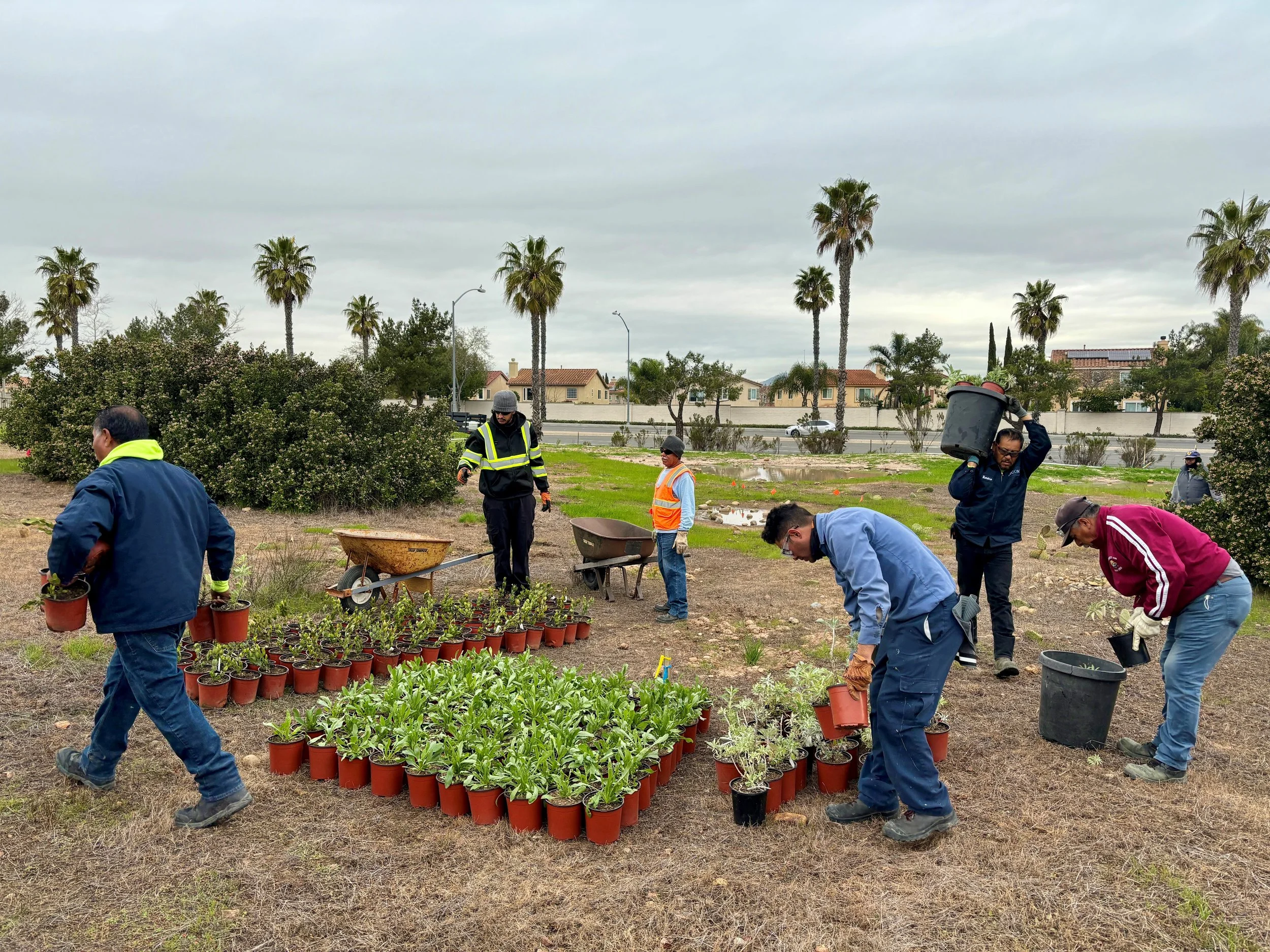 Ecological Restoration — RECON Environmental
