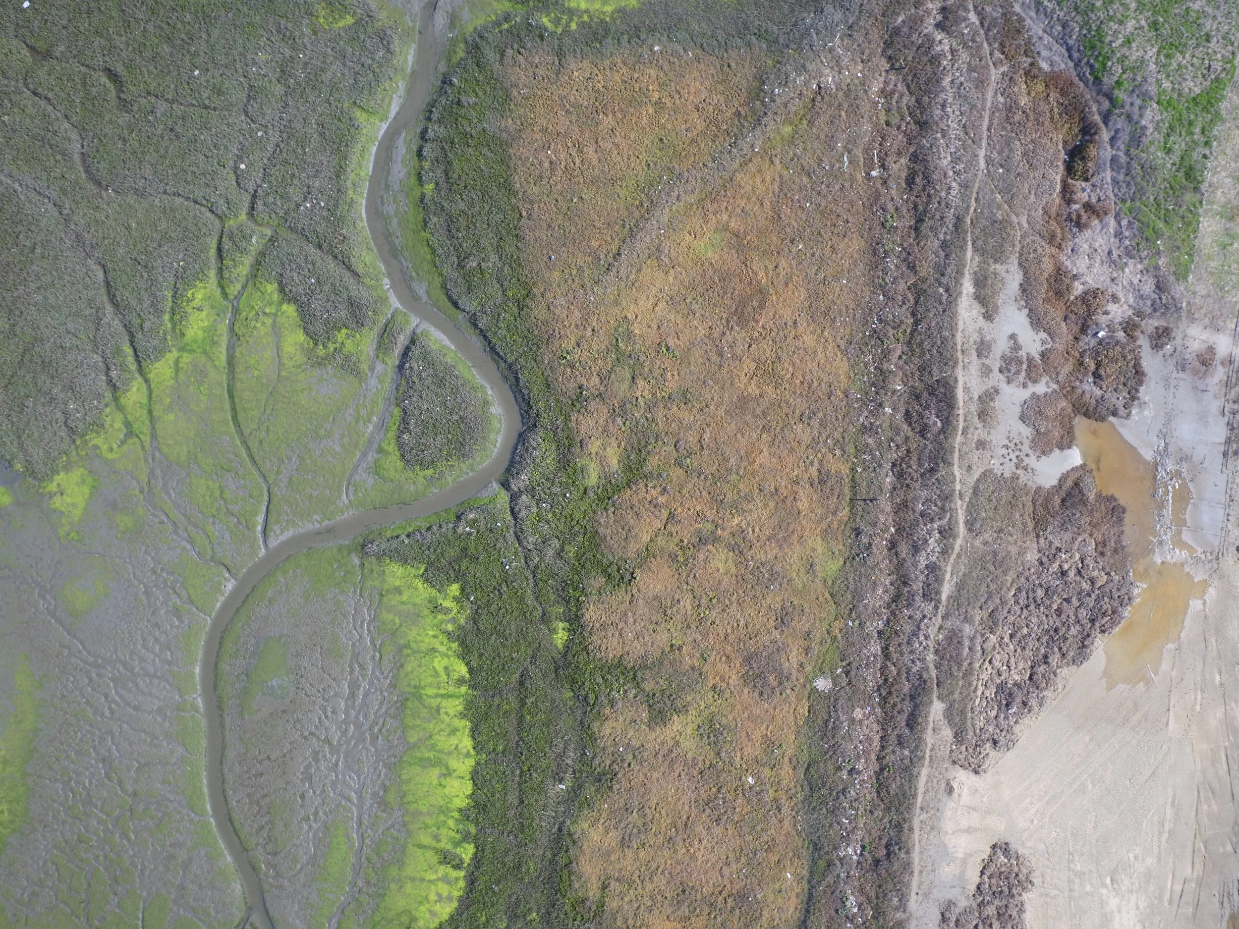 Ecological Restoration — RECON Environmental