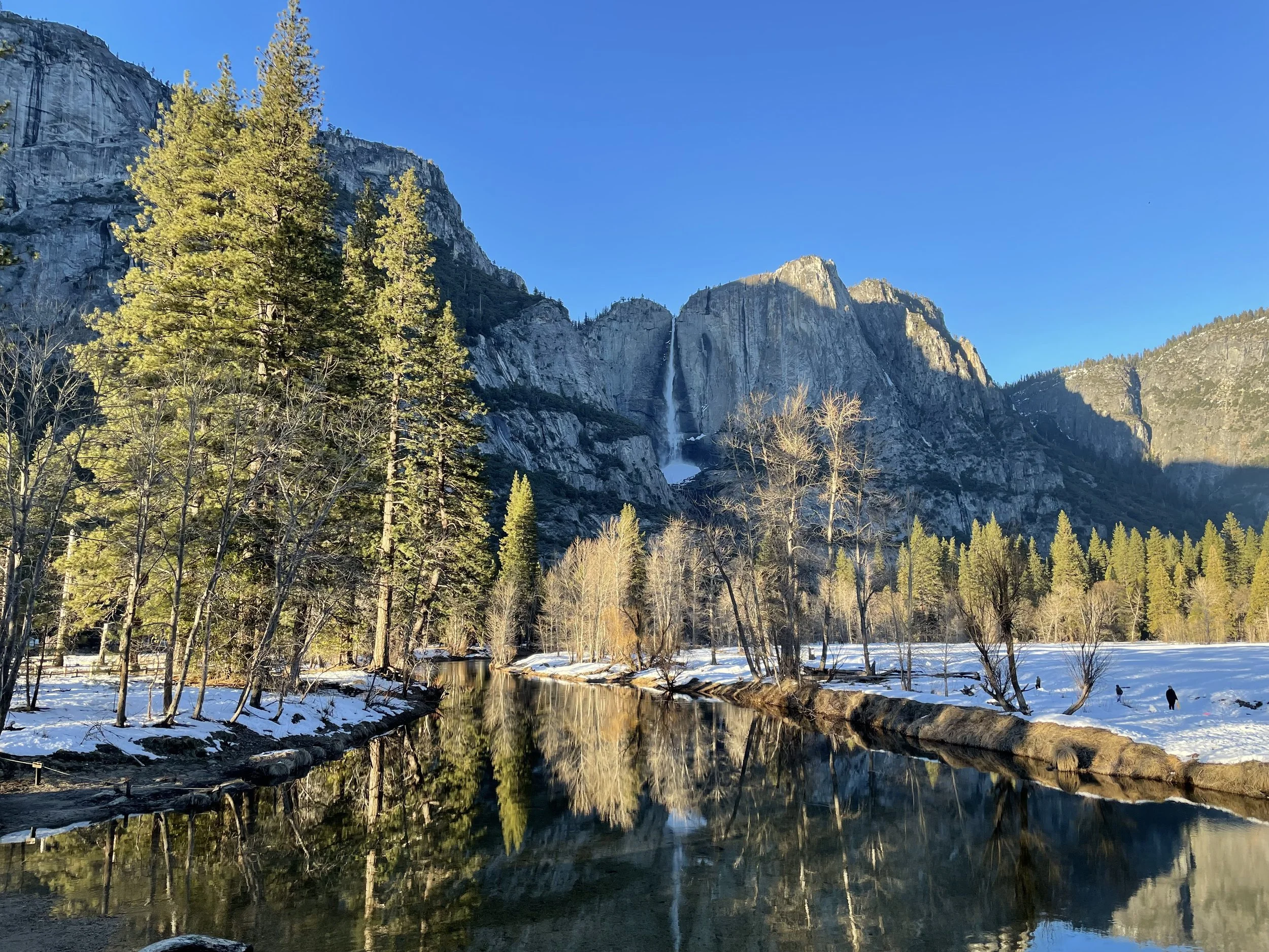 Contact — RECON Environmental