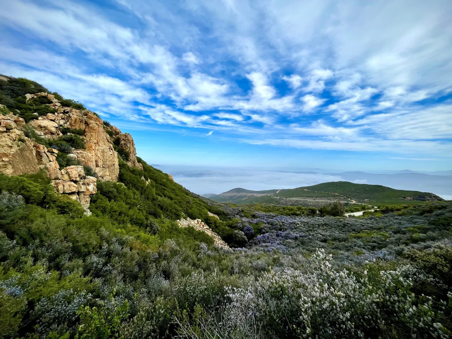 Biological Resources — RECON Environmental