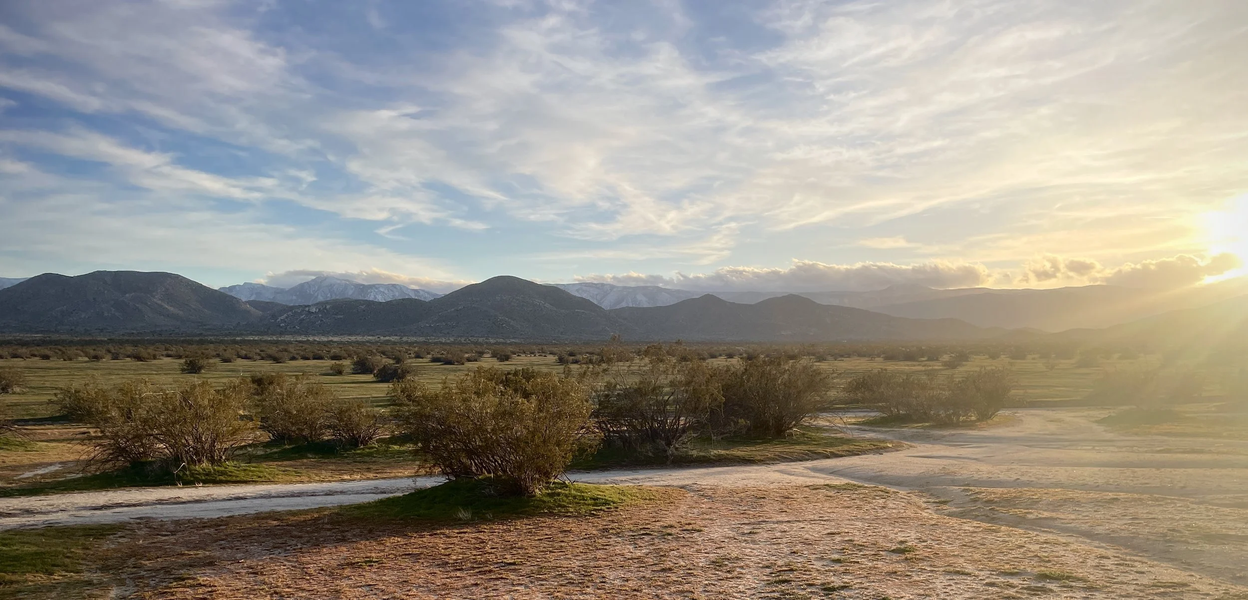 Contact — RECON Environmental