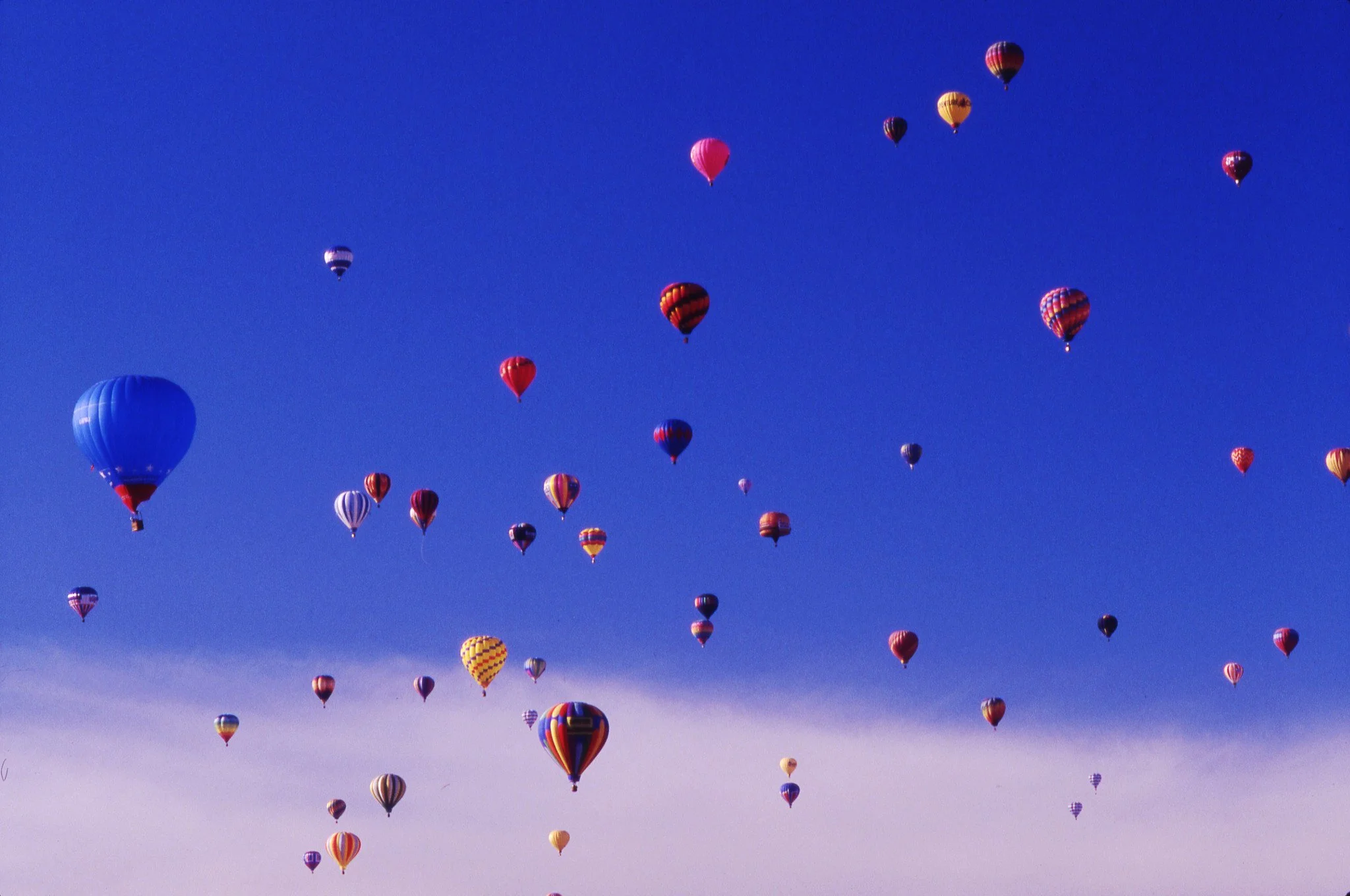 Artist Network — Farmboy – International Art Advisory