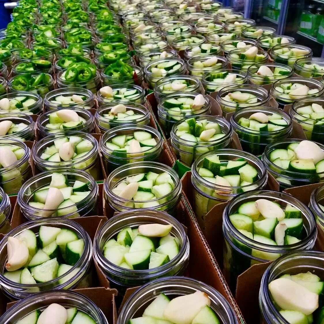 About — Completely Pickled