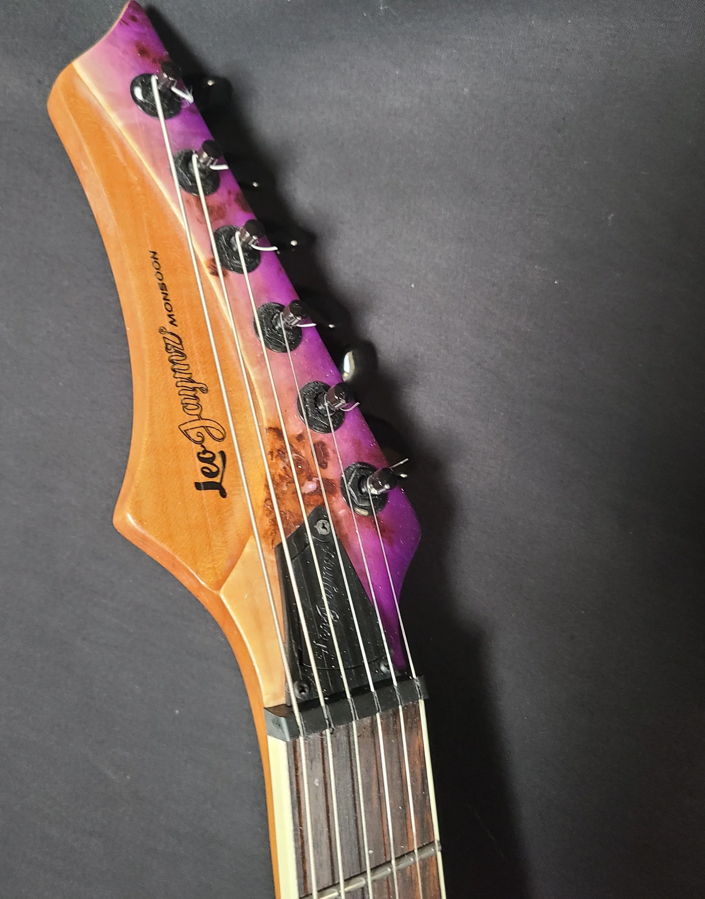 Leo Jaymz Guitars — Southwest Acoustic - Guitars, Parts & Accessories ...