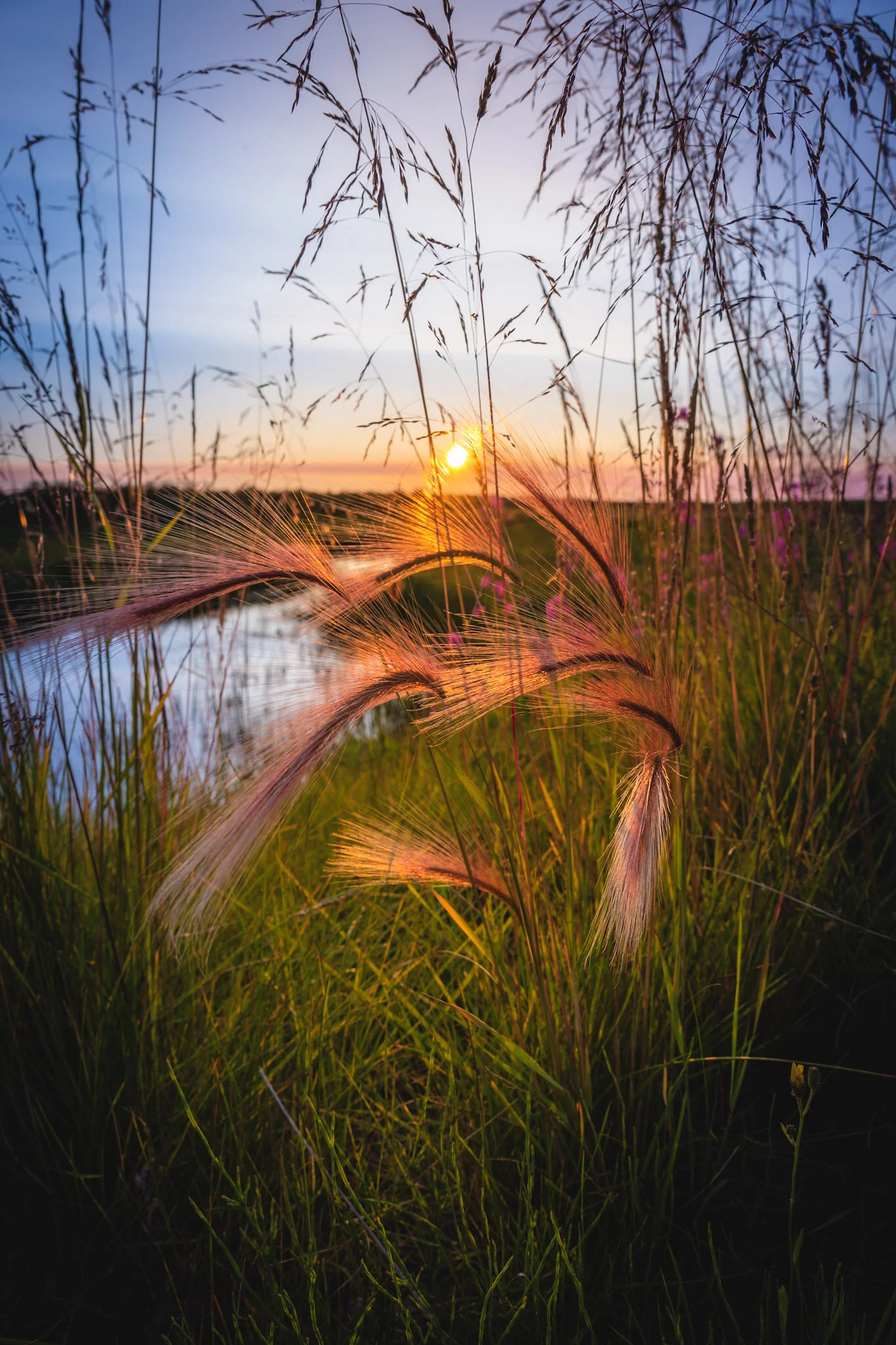 City Departments — City of Emmonak